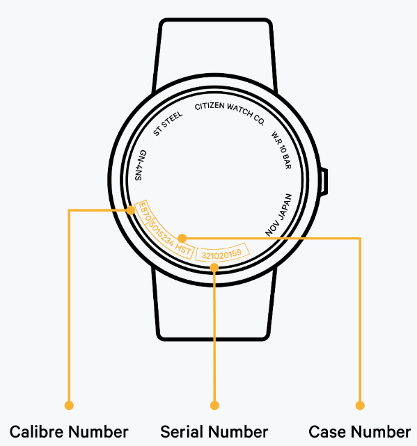 When should I register my watch? – Citizen Watch UK Help Centre